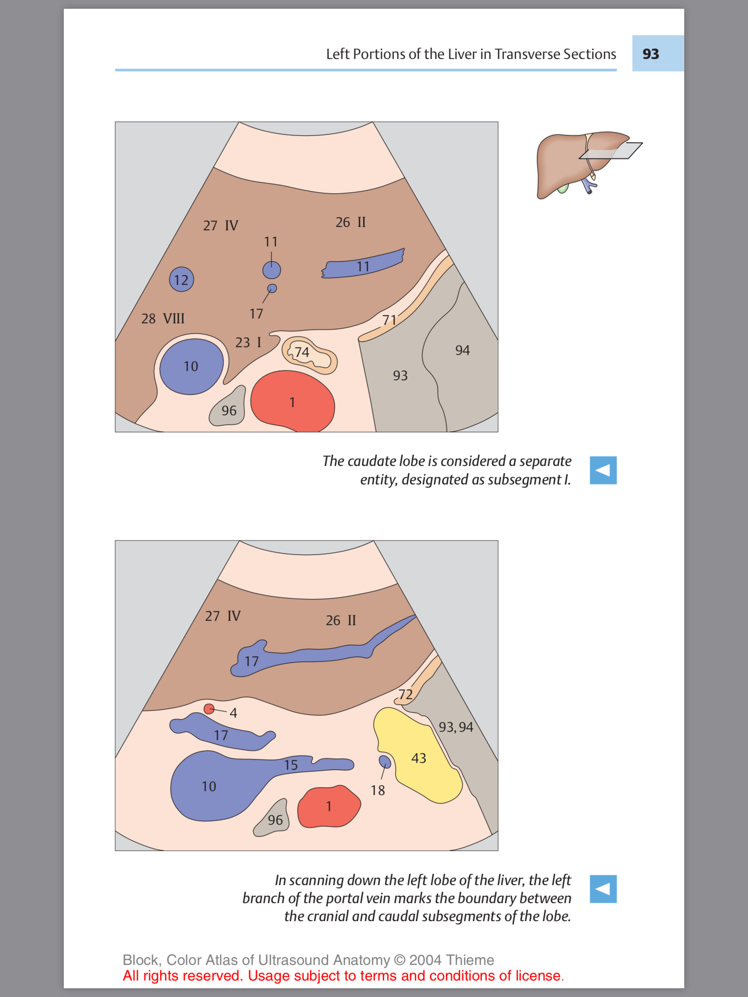 [PDF] Color Atlas of Ultrasound Anatomy – Thieme 2004 – Điện quang và Y ...