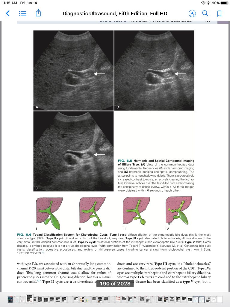 [PDF] Diagnostic Ultrasound Rumack 5th edition 2017 – Tài liệu siêu âm ...