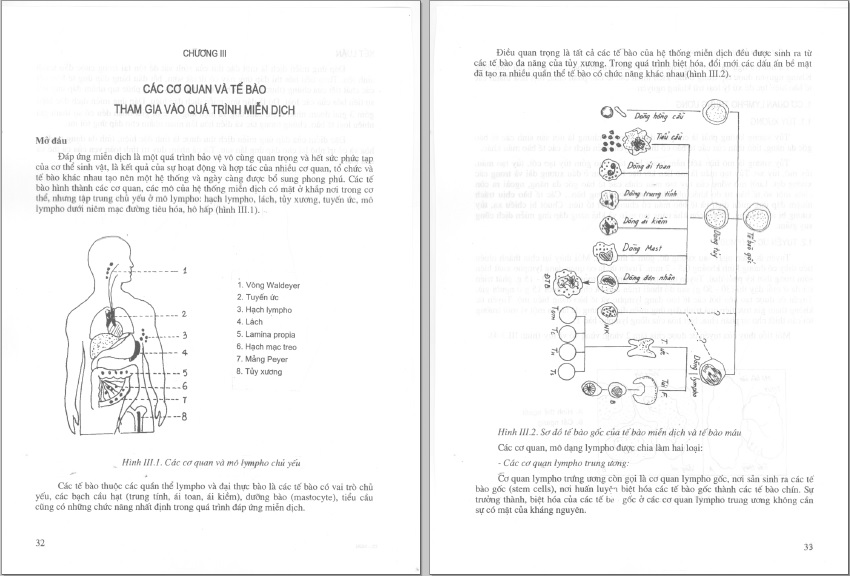 [PDF] Miễn dịch học – Đại học Y Hà Nội – Điện quang và Y học hạt nhân ...