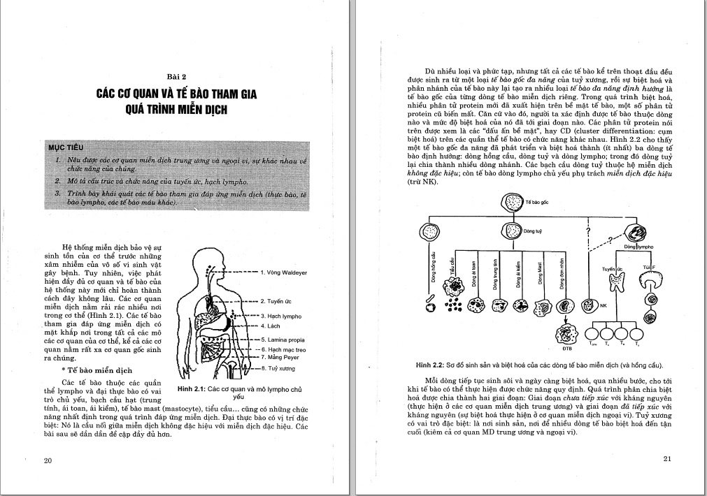 [PDF] Sinh lý bệnh và Miễn dịch – Bộ Y tế – phần Miễn Dịch – Điện quang ...